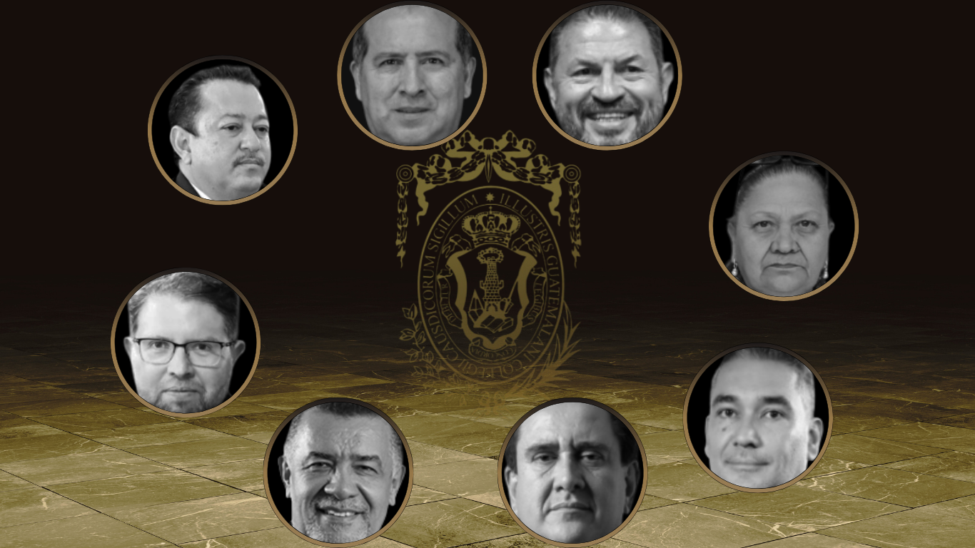 ¿quiénes Participan Para Las Elecciones Del Cang El Observador Gt
